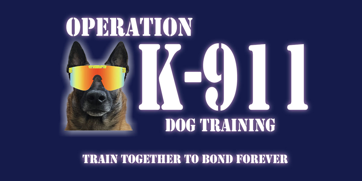 Operation K-911 | Dog Training | Train Together To Bond Forever